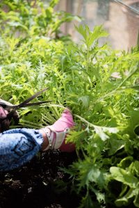 Gallery - Seed Developments