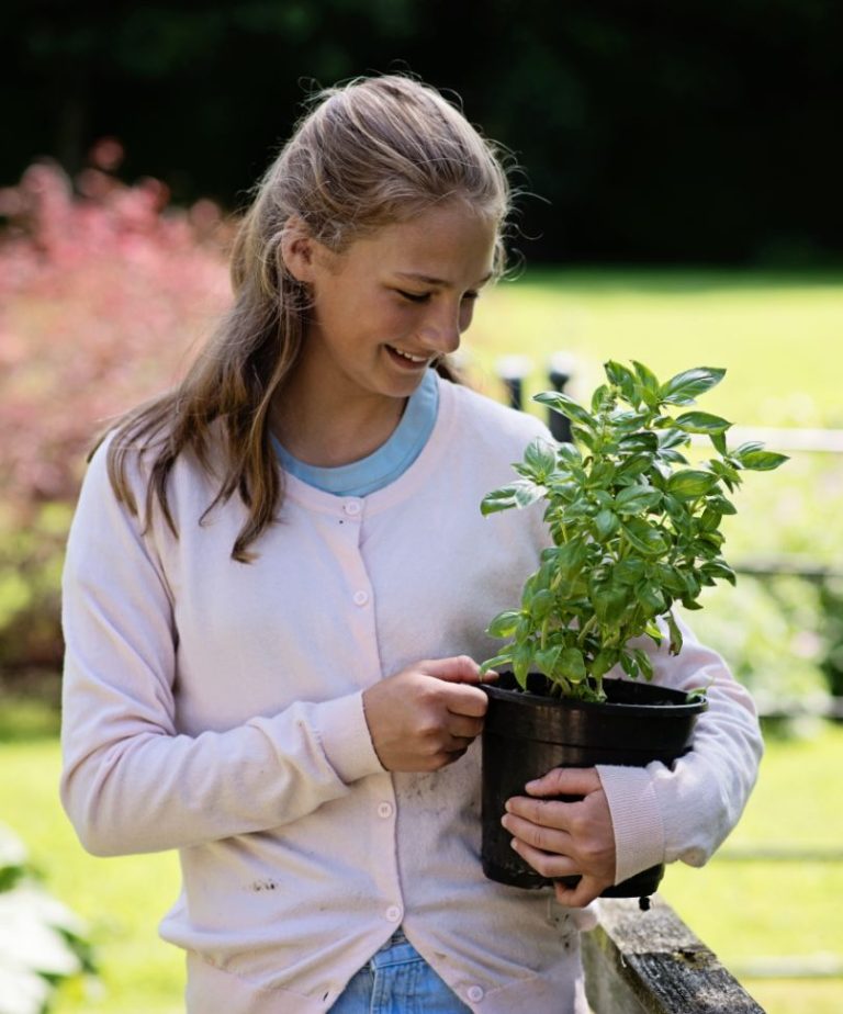 Gallery - Seed Developments