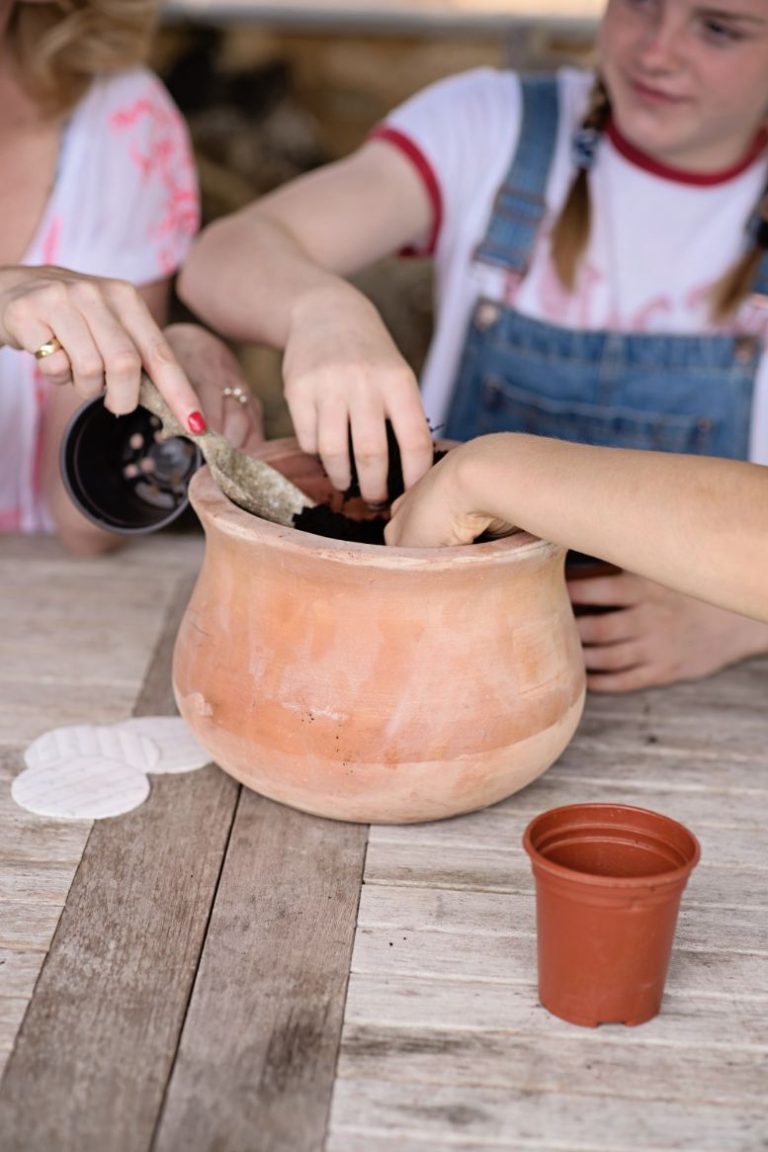 Gallery - Seed Developments