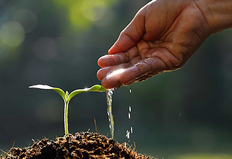 Advice - Seed Developments